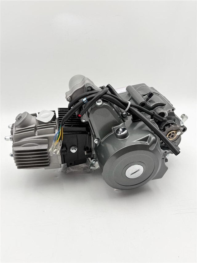 New GN110 Fully Automatic Pit Bike Engine & Loom. Will replace smaller ...