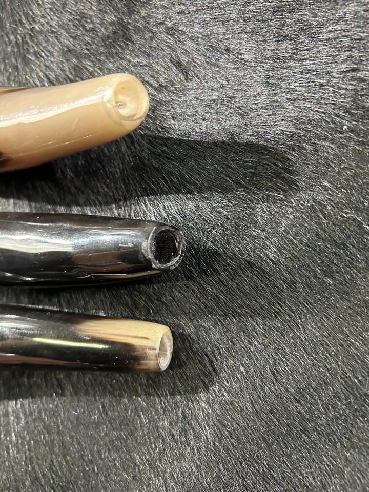 Yemenite Eland Shofar - Semi Polished Kosher-Made Eland Shofar - Approx ...