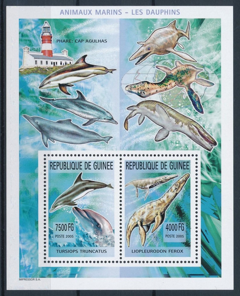 Prehistoric Dolphins