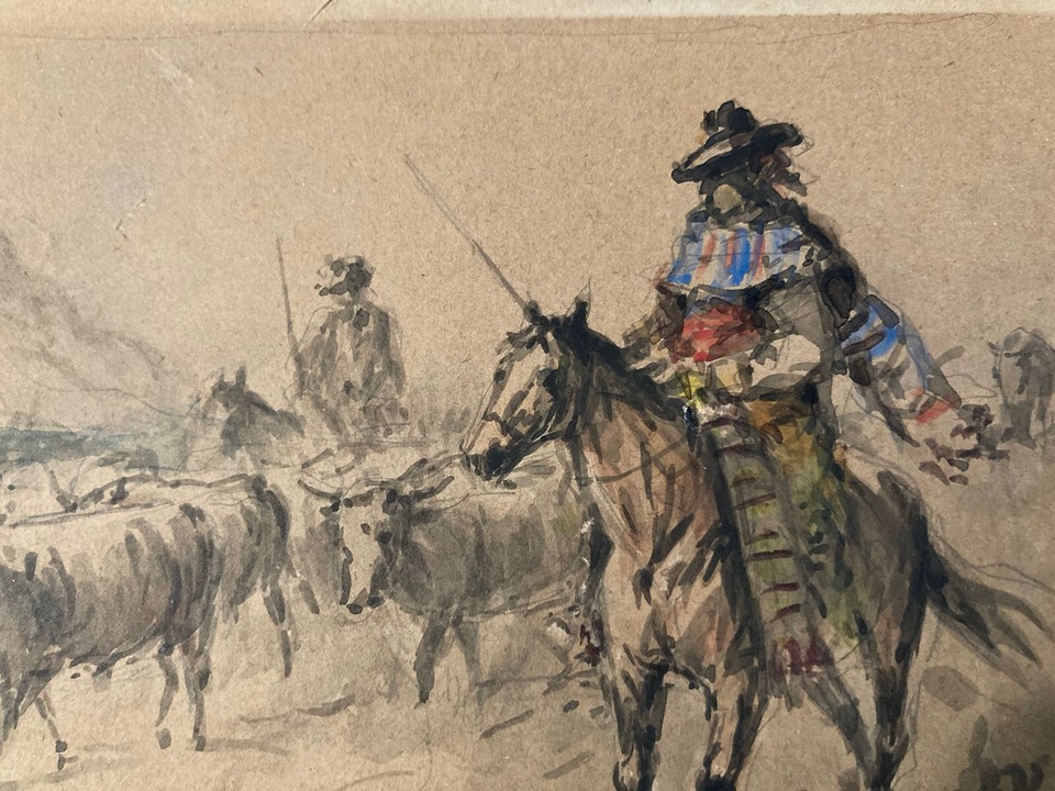 Beautiful Watercolor Drawing Cow Bull Horses Camargue 1900 Identified ...