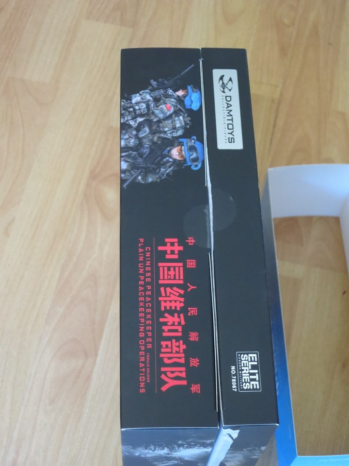DAM TOYS Chinese Peacekeeper Plain UN Peacekeeping Ops #78067 NEW 1/6th ...
