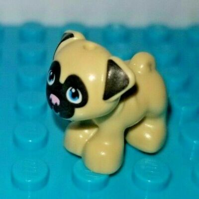 LEGO Minifigure PUG Toffee Dog Puppy Pet Animal Friends Blue Eyes Pink ...