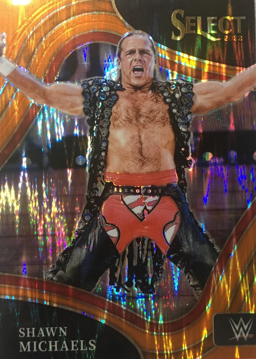Shawn Michaels 2022 Beard
