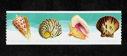 SEASHELLS US POSTCARD RATE 2017 FOREVER STAMPS 4 MXF COIL STRIP SCOTT ...