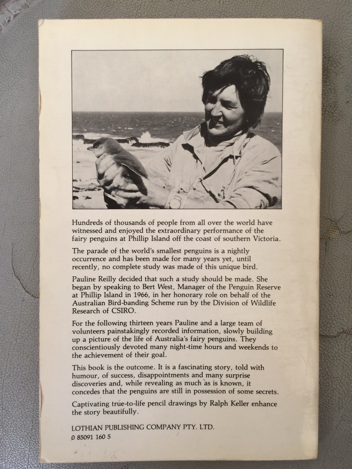 Fairy Penguins & Earthy People by Pauline Reilly Phillip Island South ...