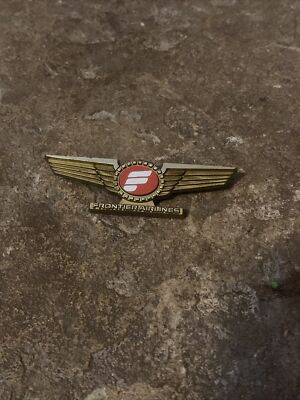 Vintage Stoffel Seals Frontier Airlines Junior Kiddie Wings Hat Lapel ...