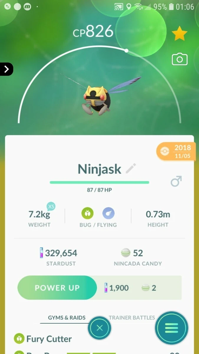 Pokemon Ninjask Evolution