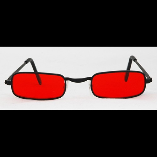 Steampunk Cosplay GOTHIC VAMPIRE SUN GLASSES Rocker Halloween costume ...