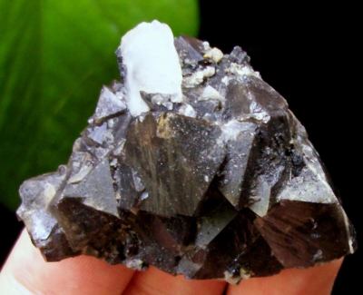42mm 42g Well formed Scheelite with Calcite from Yaogangxian Hunan ...