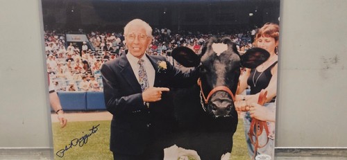 PHIL RIZZUTO SIGNED W/JSA COA YANKEES 11x14 PHOTO WITH COW AT STADIUM ...