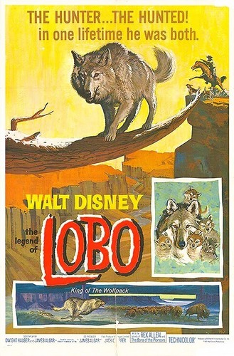 Disney The Legend of Lobo Movie Poster Print 17 X 12 Reproduction | eBay
