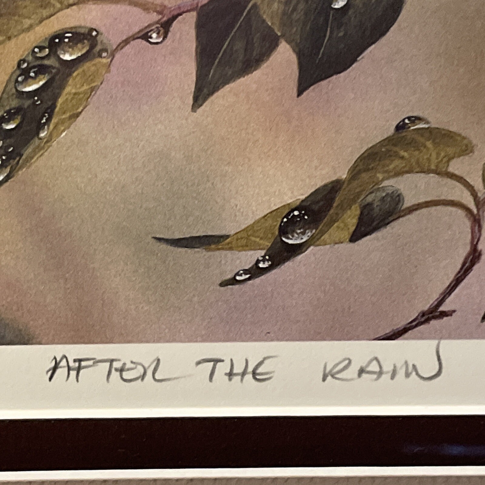 Terrence Andrews "After The Rain" Lithographed Print 1990 Hand Signed ...