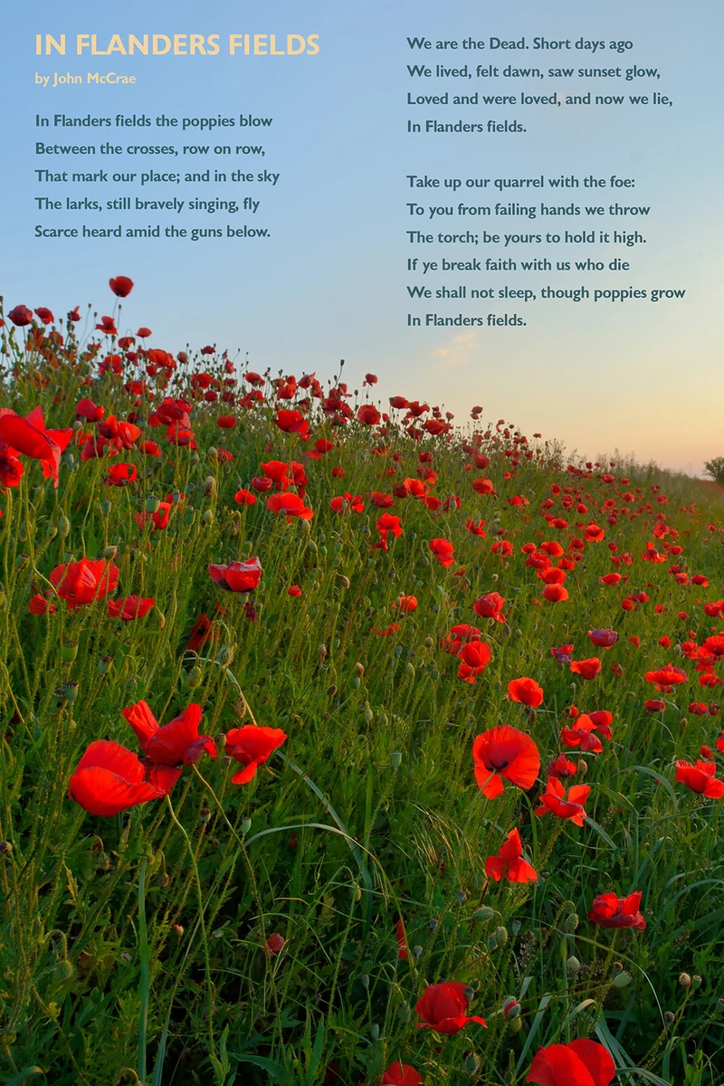 What Kind Of Poem Is In Flanders Fields | Sitedoct.org
