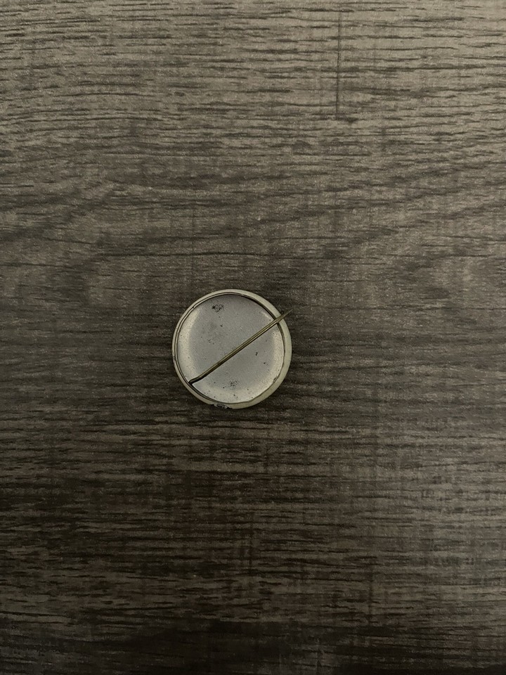 Lodge For US Senator Political Campaign Election . Pin Button | eBay