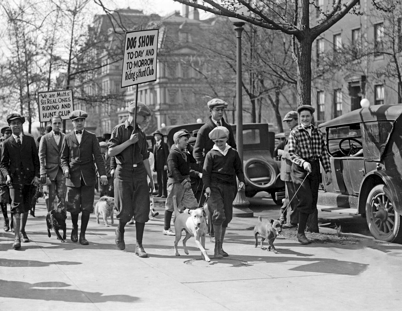 1925 Parade of Muts Vintage Old Dogs Pets Walking Photo 8.5" x 11 ...