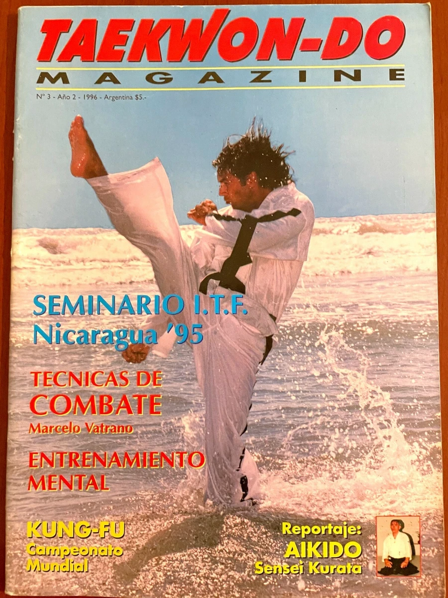 Taekwondo Itf Poster