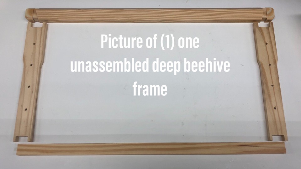 Bee Hive Frames 100 Beveled Foundationless for Deep or Med frames ...