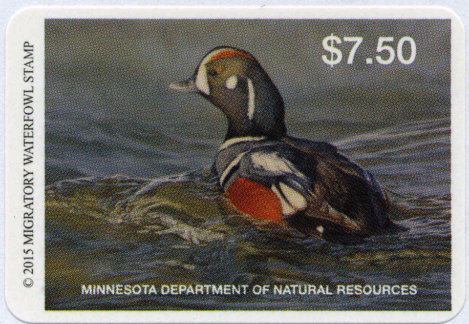 MINNESOTA #39 2015 STATE DUCK STAMP HARLEQUIN DUCK BY Scot Storm | eBay