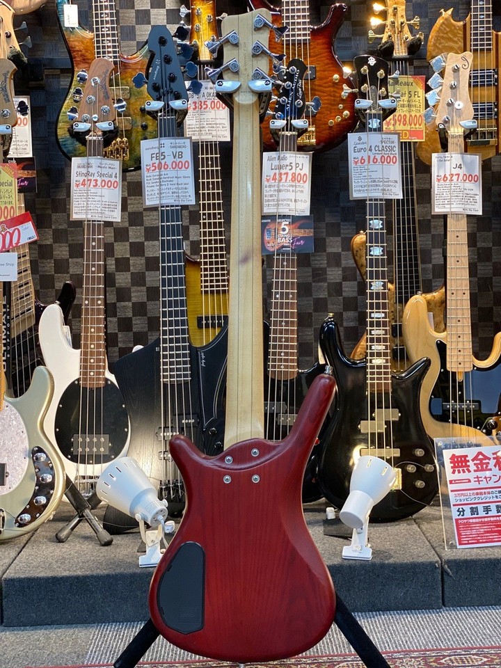 Warwick Rock Bass Corvette $$ 5st (no2506059) | eBay