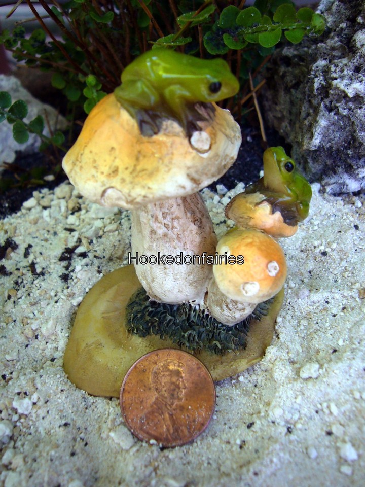 Mini Frog on Mushrooms TO 4441 Miniature Fairy Gnome Hobbit Garden | eBay