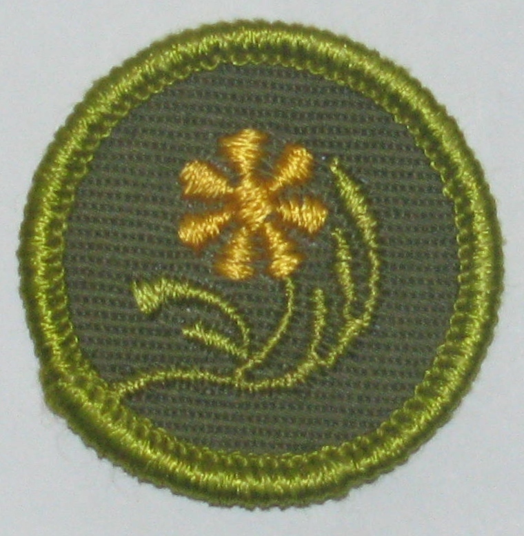 Boy Scout BOTANY Merit Badge Type F (1961-68) Khaki Rolled Edge | eBay