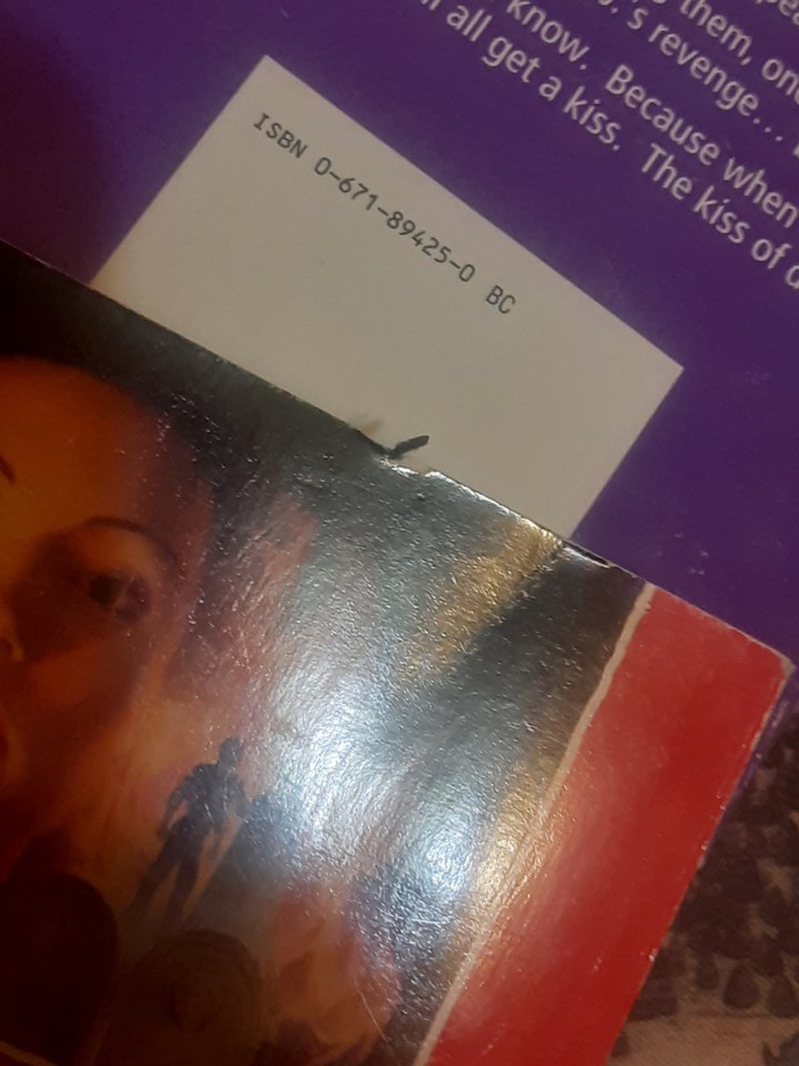 R.L. Stine's Fear Street series: The New Year's Party, Silent Night ...