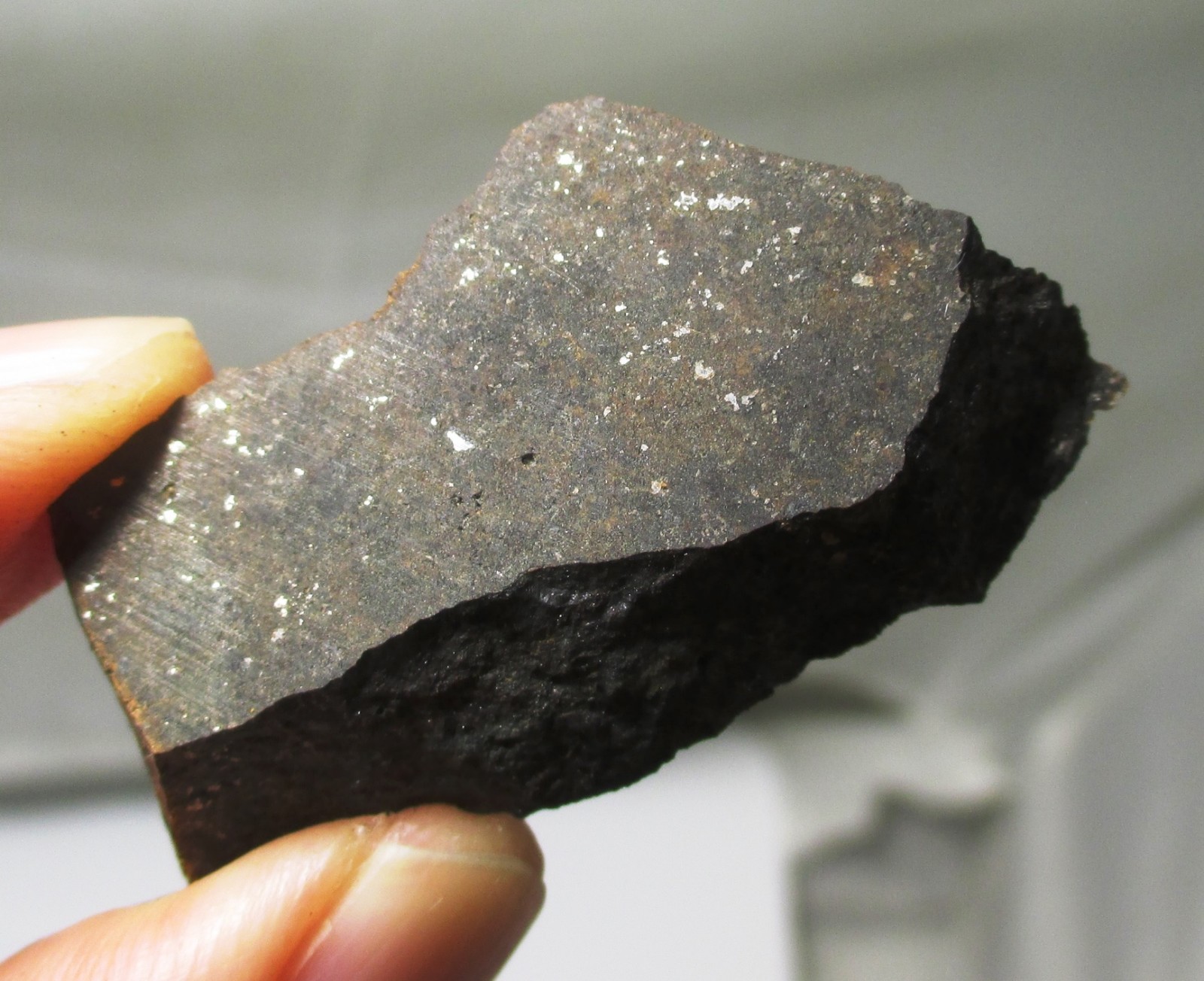 Lazbuddie meteorite partial slice - 13.7 grams - Texas LL5 chondrite | eBay