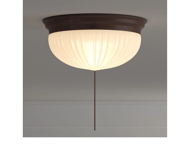 Westinghouse 2 Light Ceiling Fixture With Pull Chain | Shelly Lighting
