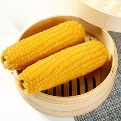 300 Seeds Yellow Waxy Sticky Corn High Glutinous Maize 2025 Crop 东北粘苞米 ...