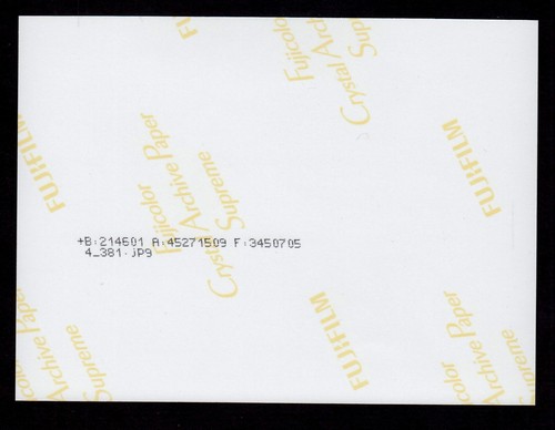 Nudismus NACKTE FREUNDINNEN IN POSE AN FELSIGER KÜSTE * Vintage Photo ...