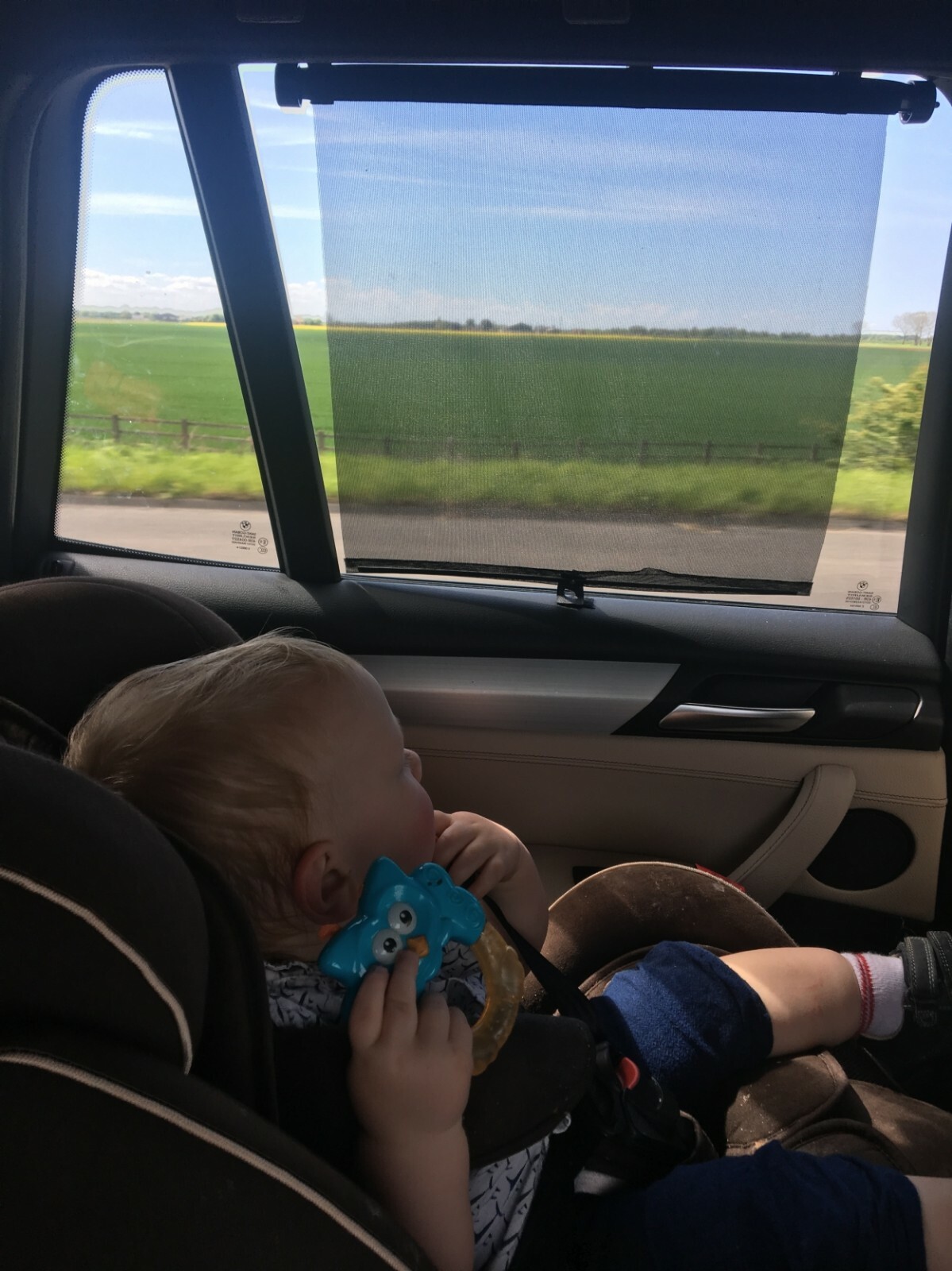 Car Side Window Sunshade Roller Blinds Curtains 52Cm X 47Cm Sun ...