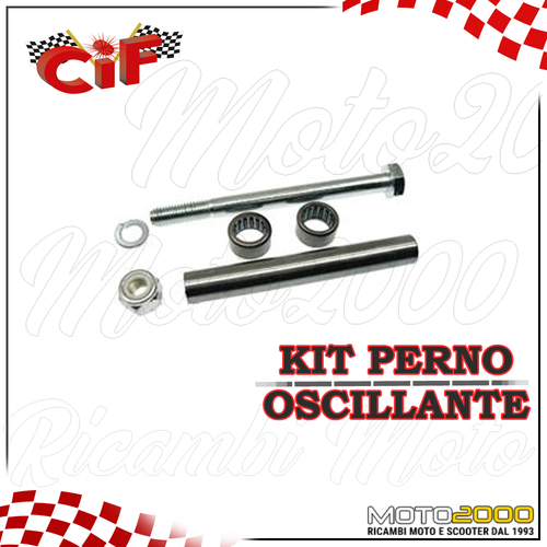 KIT PERNO GRUPPO OSCILLANTE PER PIAGGIO SI CIAO BRAVO GRILLO - CIF 6619 ...
