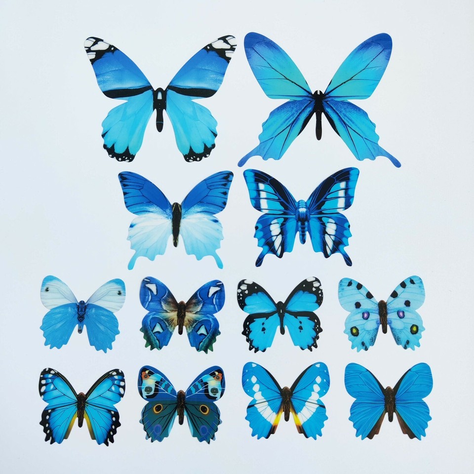 12 x 3D Butterfly Wall Stickers Home Decor Room Decoration Sticker ...