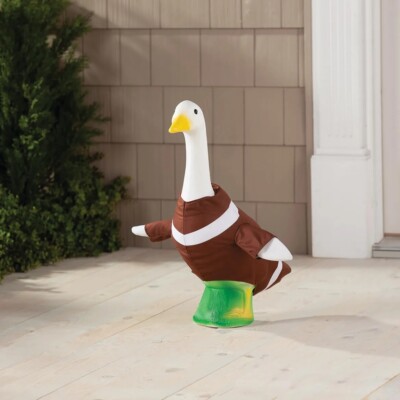 Football Super Bowl MVP Outfit Costume for 23" Goose Tailgate Lawn ...