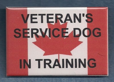 VETERAN'S SERVICE DOG (Canada) IN TRAINING service dog vest button w ...