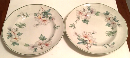 Adams English Ironstone England 🌺 Azalea Pattern 2 Salad Plates 8" (3 ...