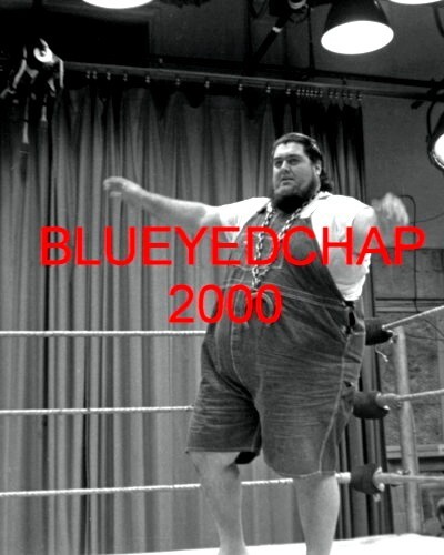 HAYSTACKS CALHOUN WRESTLER 8 X 10 WRESTLING PHOTO NWA WWWF | eBay