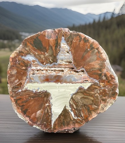Absolutely HUGE Polished Colorful Buchanon THUNDEREGG Oregon | eBay