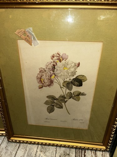 Pair of Rose Prints After P.J. Redoute 22"W x 26"H | eBay