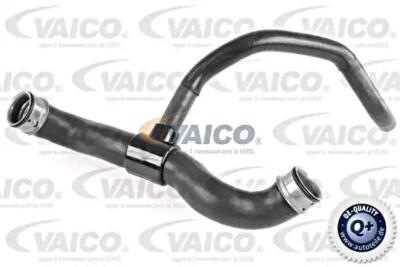 VAICO Kühlerschlauch Für MERCEDES C216 W216 W221 2215016884 | eBay