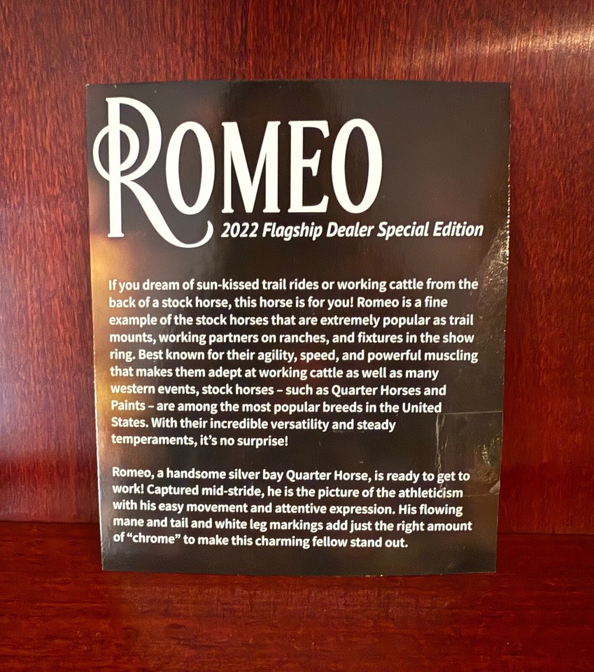 Breyer Romeo, 2022 brick and mortar SR Dundee in silver bay, factory ...