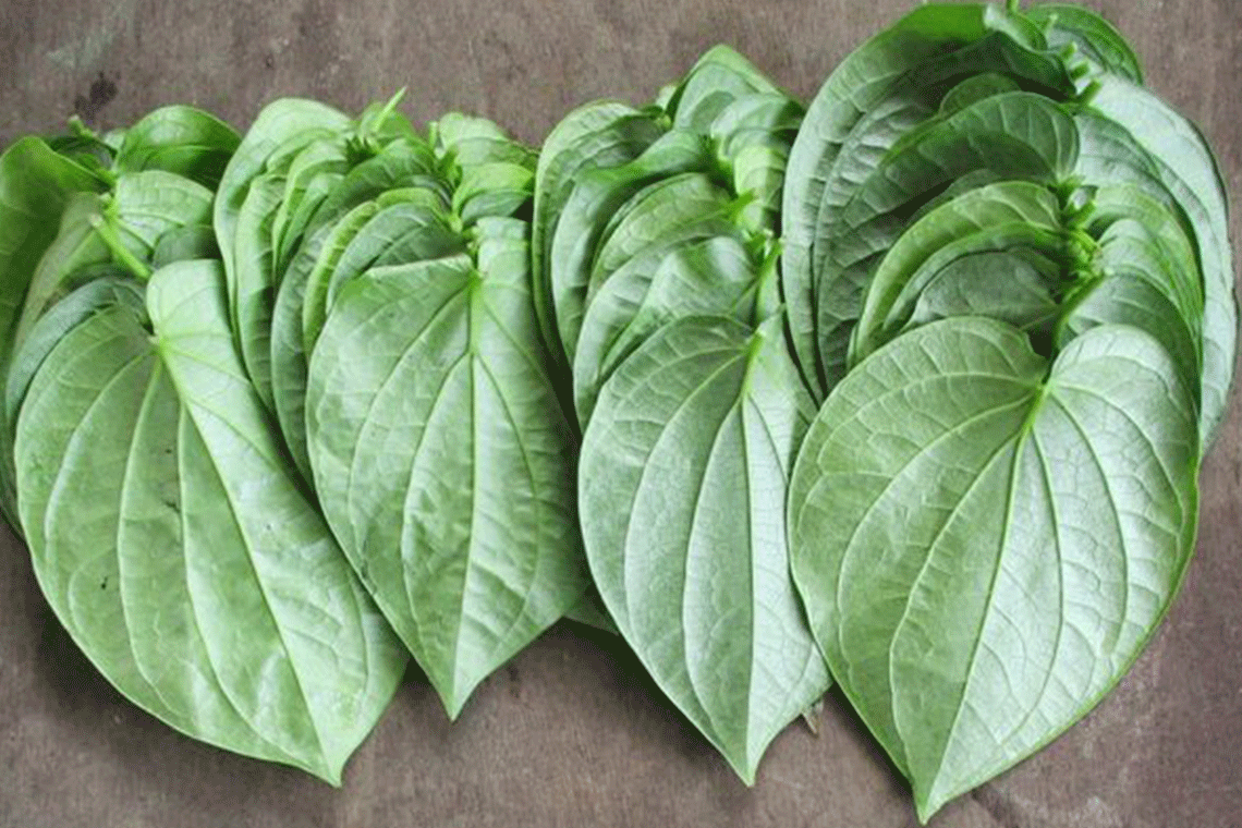 Herbal Magic's Pure & Natural Betel Leaf Powder (Paan) Natural Dried ...