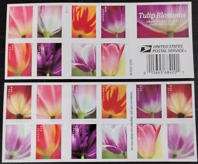🔥🔥20 FOREVER FIRST CLASS LETTER STAMPS TULIP BLOSSOMS STAMPS MNH 2022🔥🔥 ...