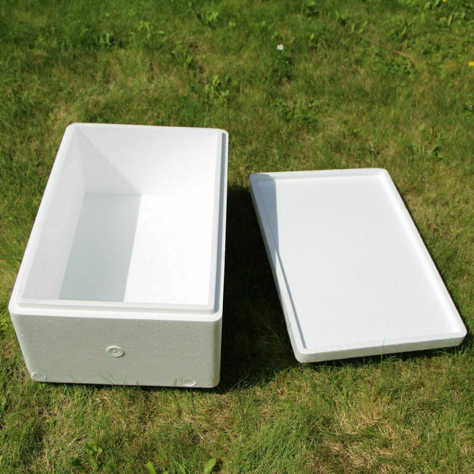 55 litre POLYSTYRENE COOL BOX FOOD, FISH, REPTILES | eBay