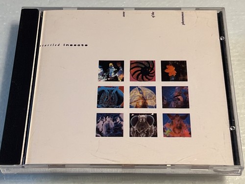 Curse of the Pheromones by Startled Insects (CD, Antilles) for sale ...