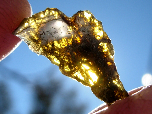 .521 grams 17x8x2mm NWA 7831 Meteorite (Diogenite) awesome slice ...