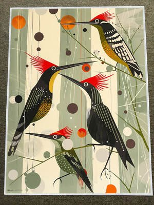Mid-Century Modern Bird Print Art - Colorful Illustration Poster ...