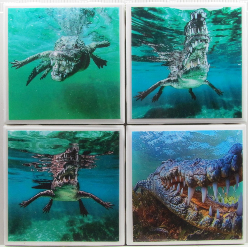 Ceramic Tile Coaster Set - Set of 4 - (Wood, Stone, Marble, Cork) - A ...