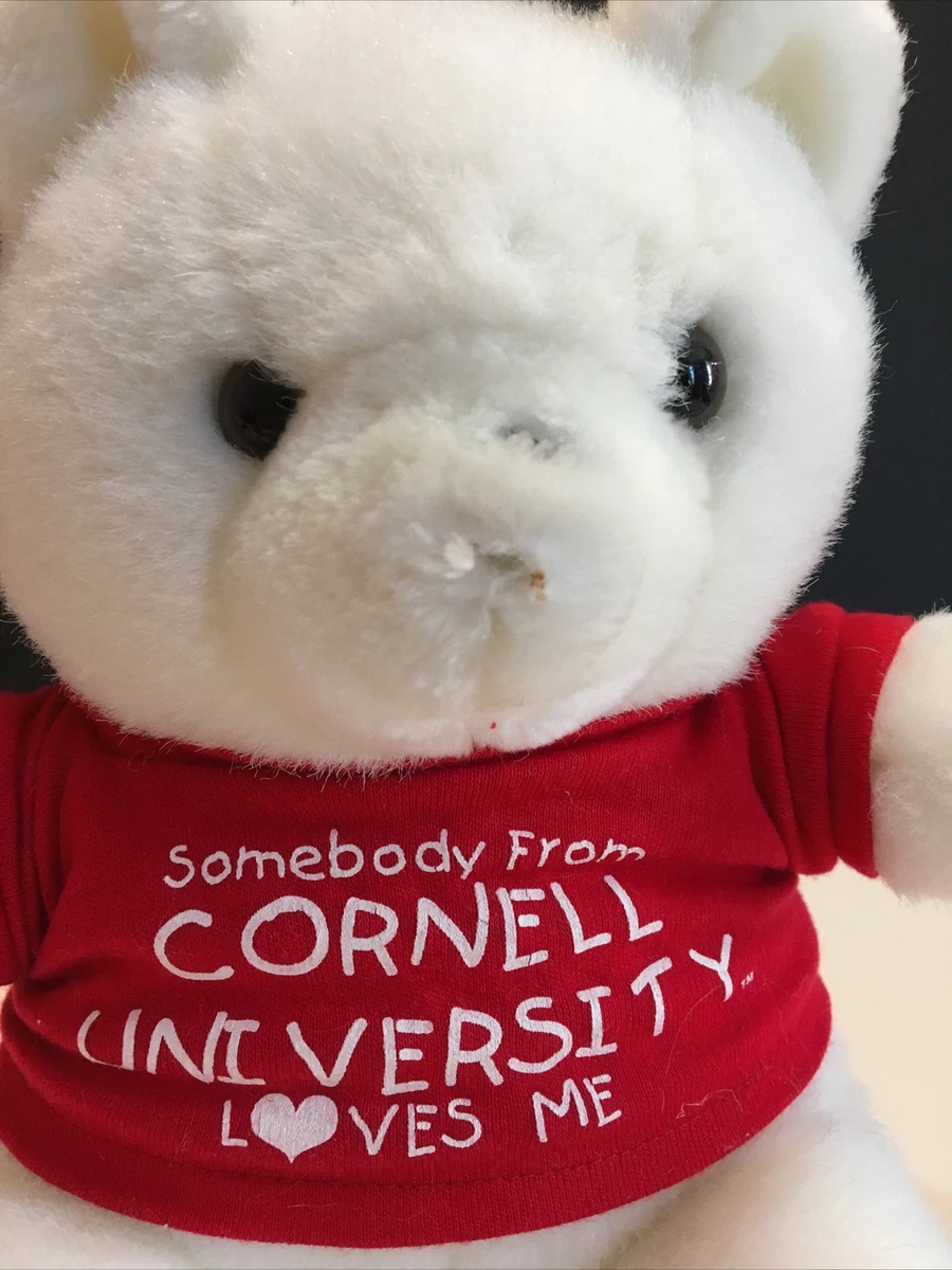 Cornell University Bear