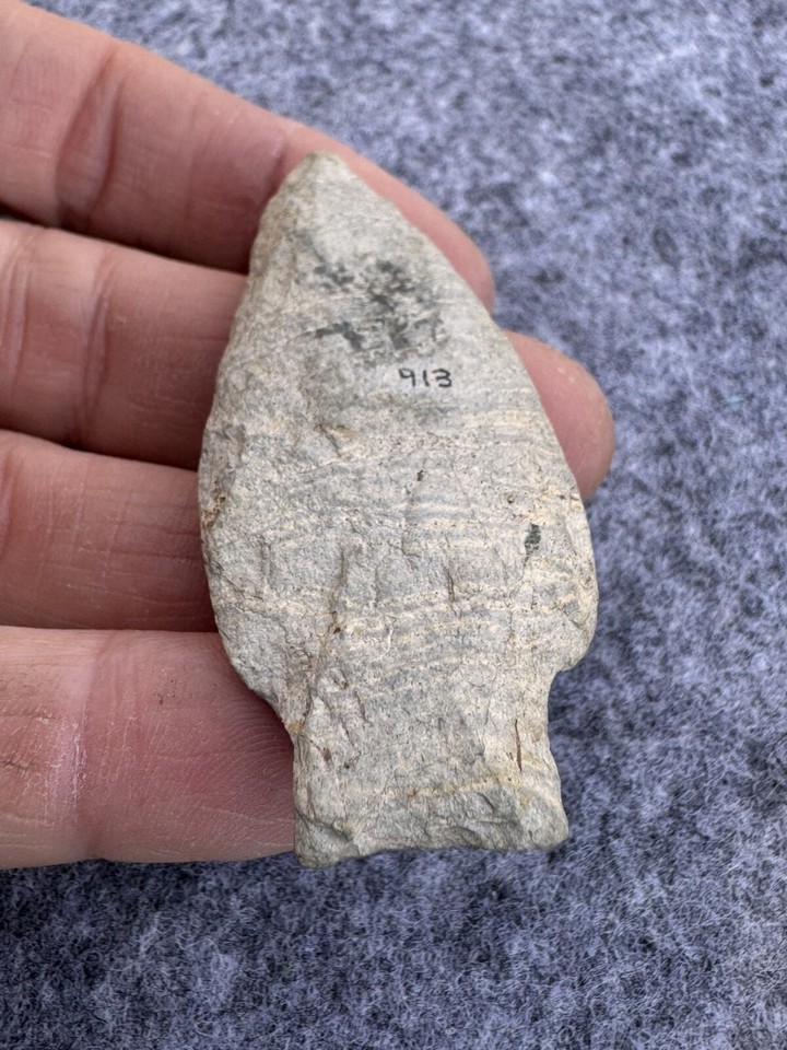 Bare Island projectile point (Virginia arrowhead) COA Williams | eBay